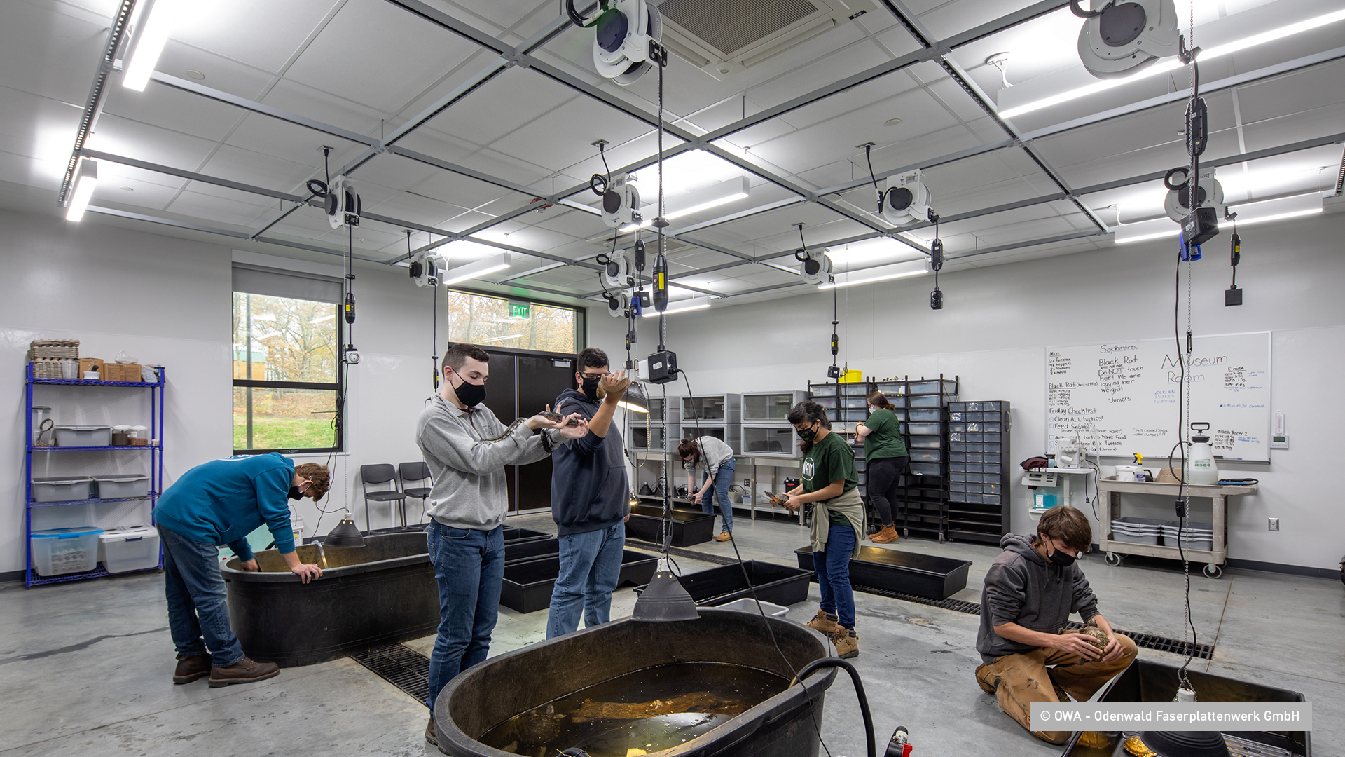 Bristol Agricultural High School, Dighton — OWA – Odenwald ...