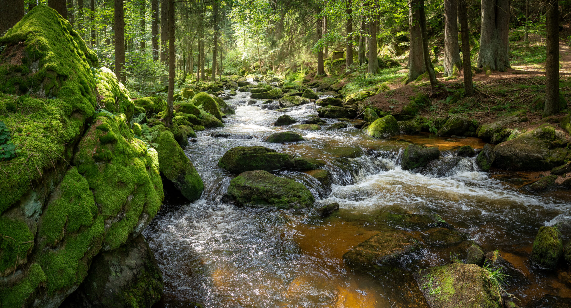Sustainability at OWA — OWA – Odenwald Faserplattenwerk GmbH